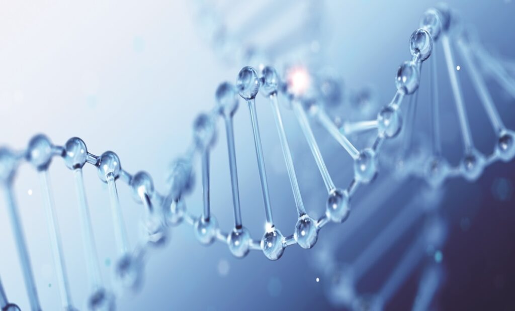 Inside IWA’s DNA: how we adapt and thrive - The Source